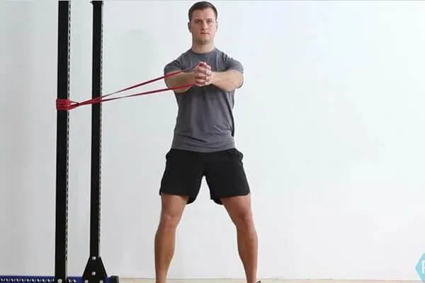 Pallof Press Iso With Band - Daily Bodyweight Exercises