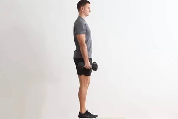 Dumbbell Step-Up - Daily Bodyweight Exercises